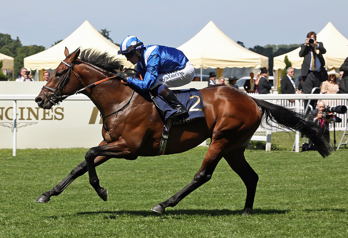 Baaeed inaugura por todo lo alto el meeting de Royal Ascot y obtiene un ...