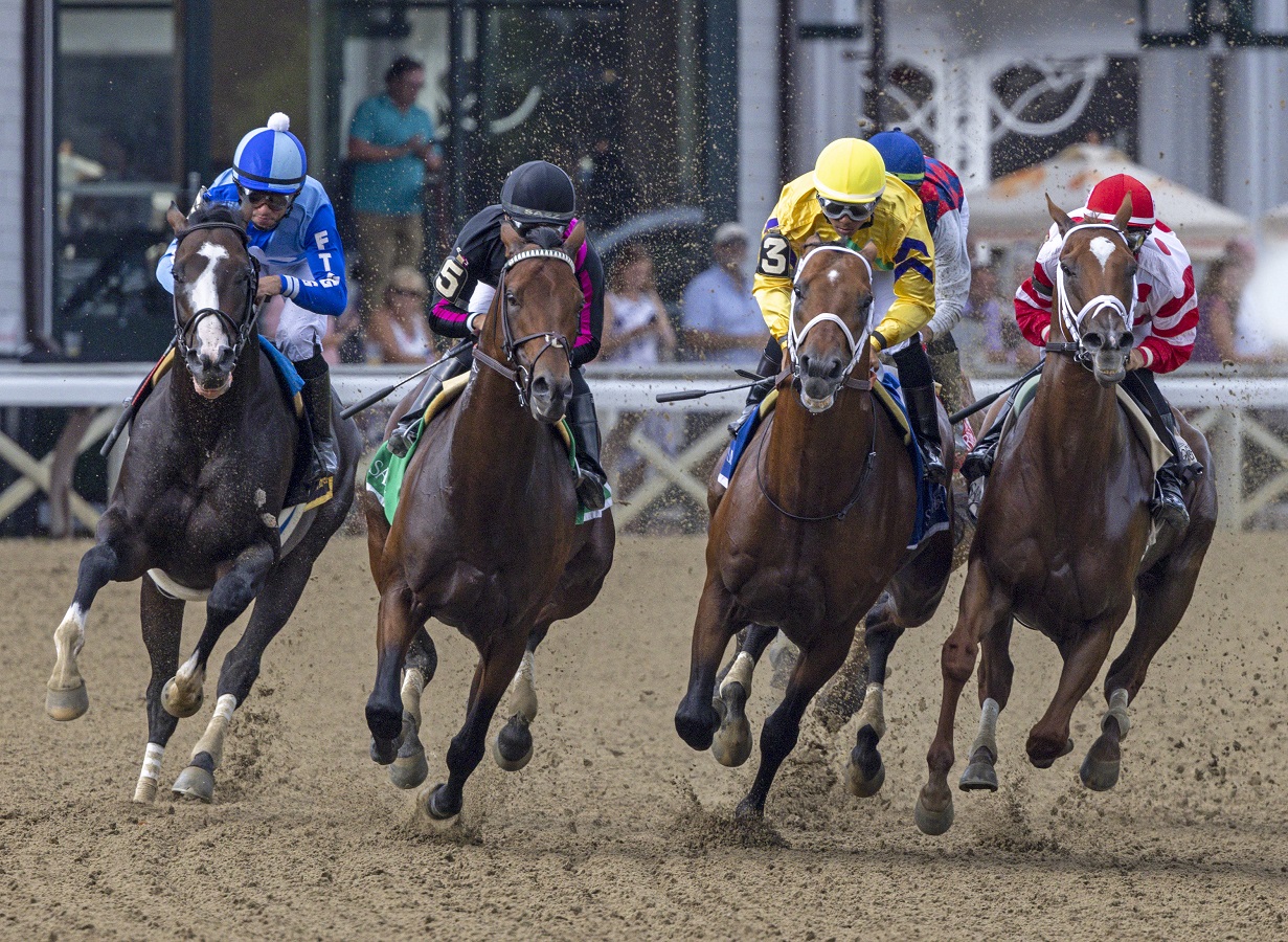 Art Collector no tuvo problemas para imponerse en el Alydar Stakes ...