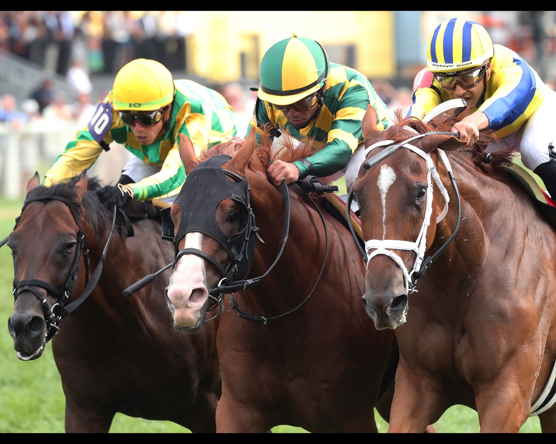 Red Knight batió a Gufo en un emocionante Kentucky Turf Cup Stakes G2 y obtiene su pase para la ...