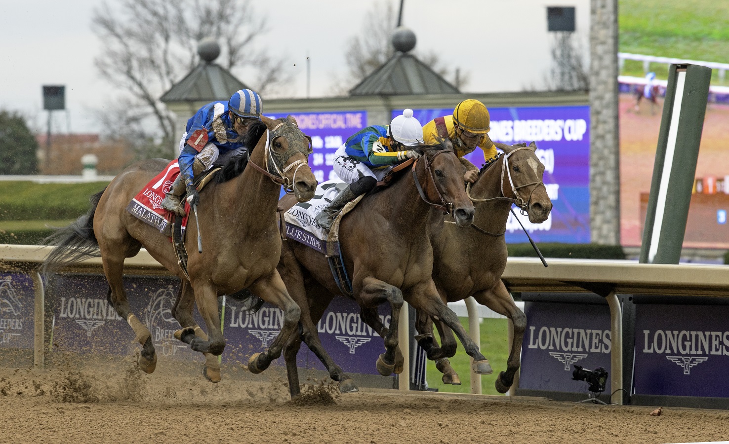 Malathaat, Blue Prize y Clairiere nos regalaron el final del año en la ...