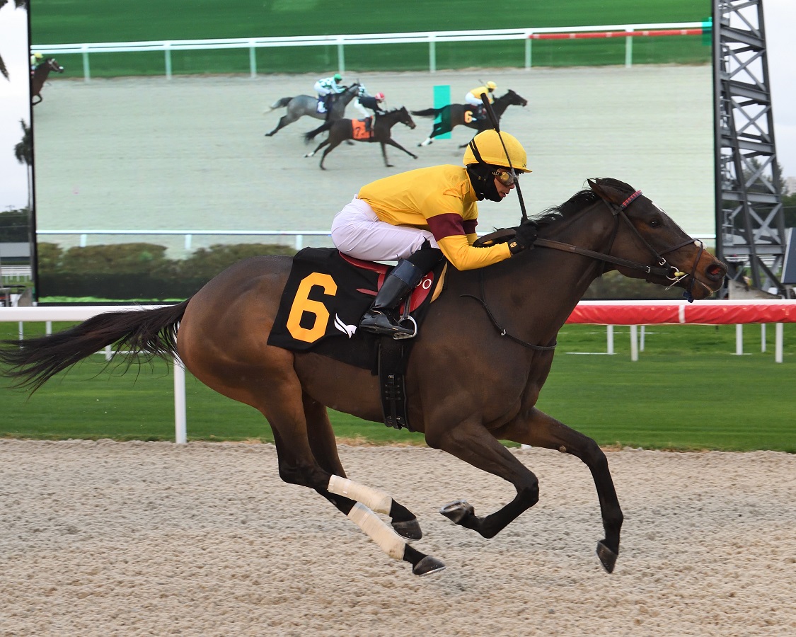 Candy Light y Golden Glider ganaron las selectivas del inicio del ...