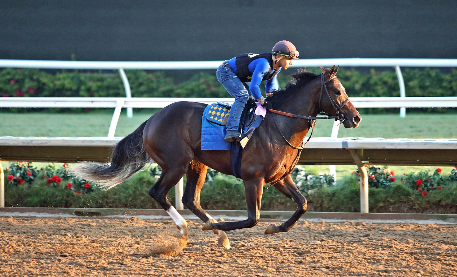 Bob Baffert con todo a su favor en el Futurity de Los Alamitos | DRF en ...
