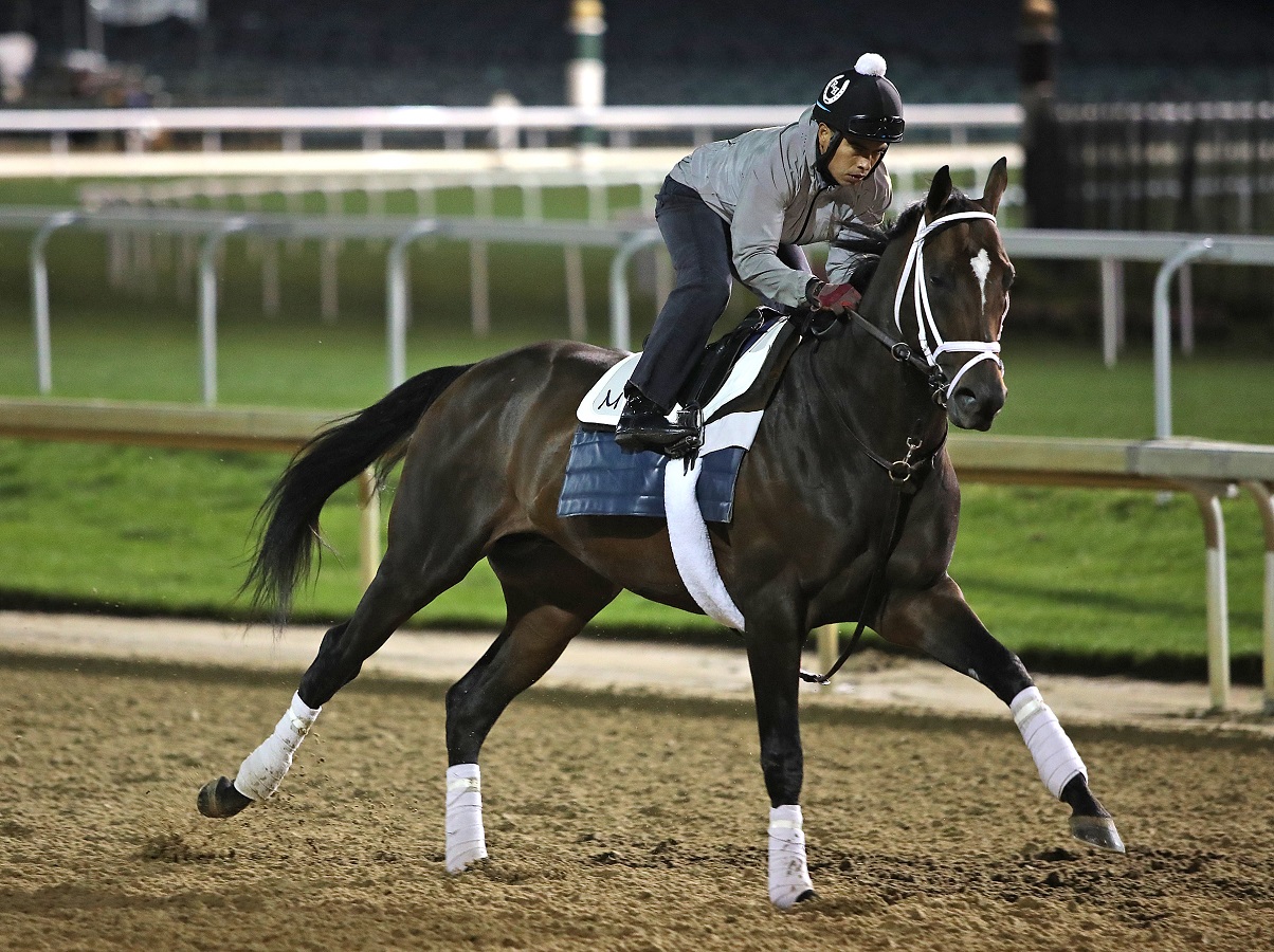 Fin de año selectivo en Santa Anita Park | DRF en Español