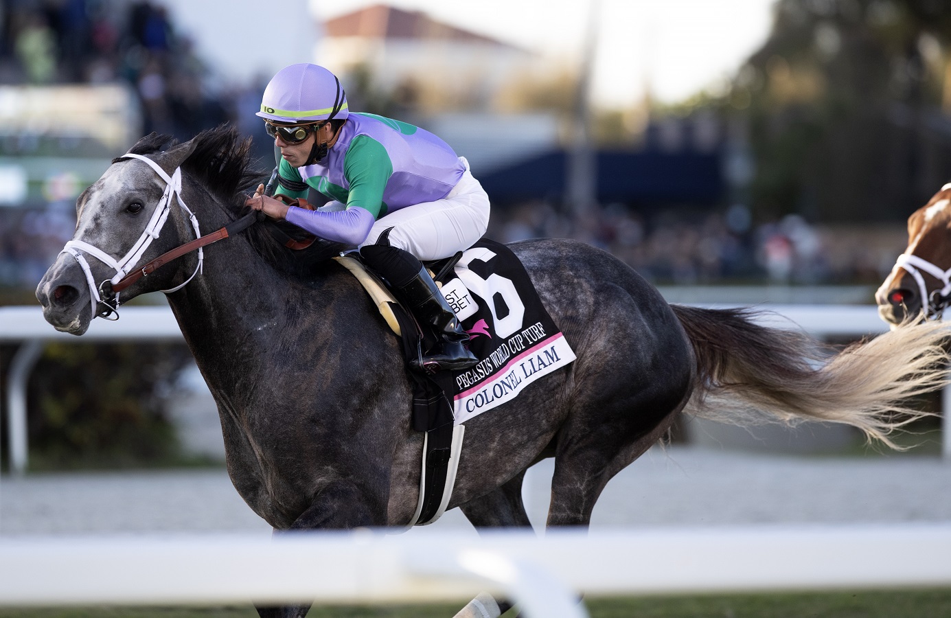 Colonel Liam retirado de las pistas días antes de la Pegasus World Cup ...
