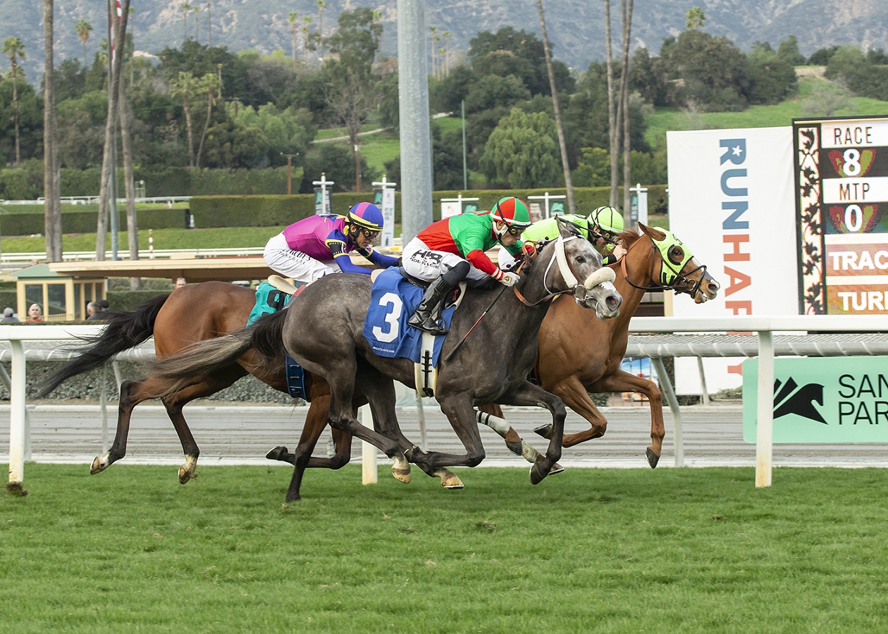 Grazed My Heart ganó dramáticamente la California Cup Oaks | DRF en Español