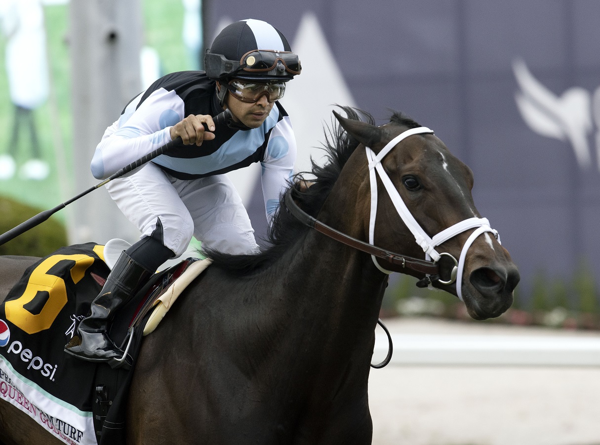 Queen Goddess estuvo por todo lo alto en el Pegasus World Cup Filly and ...