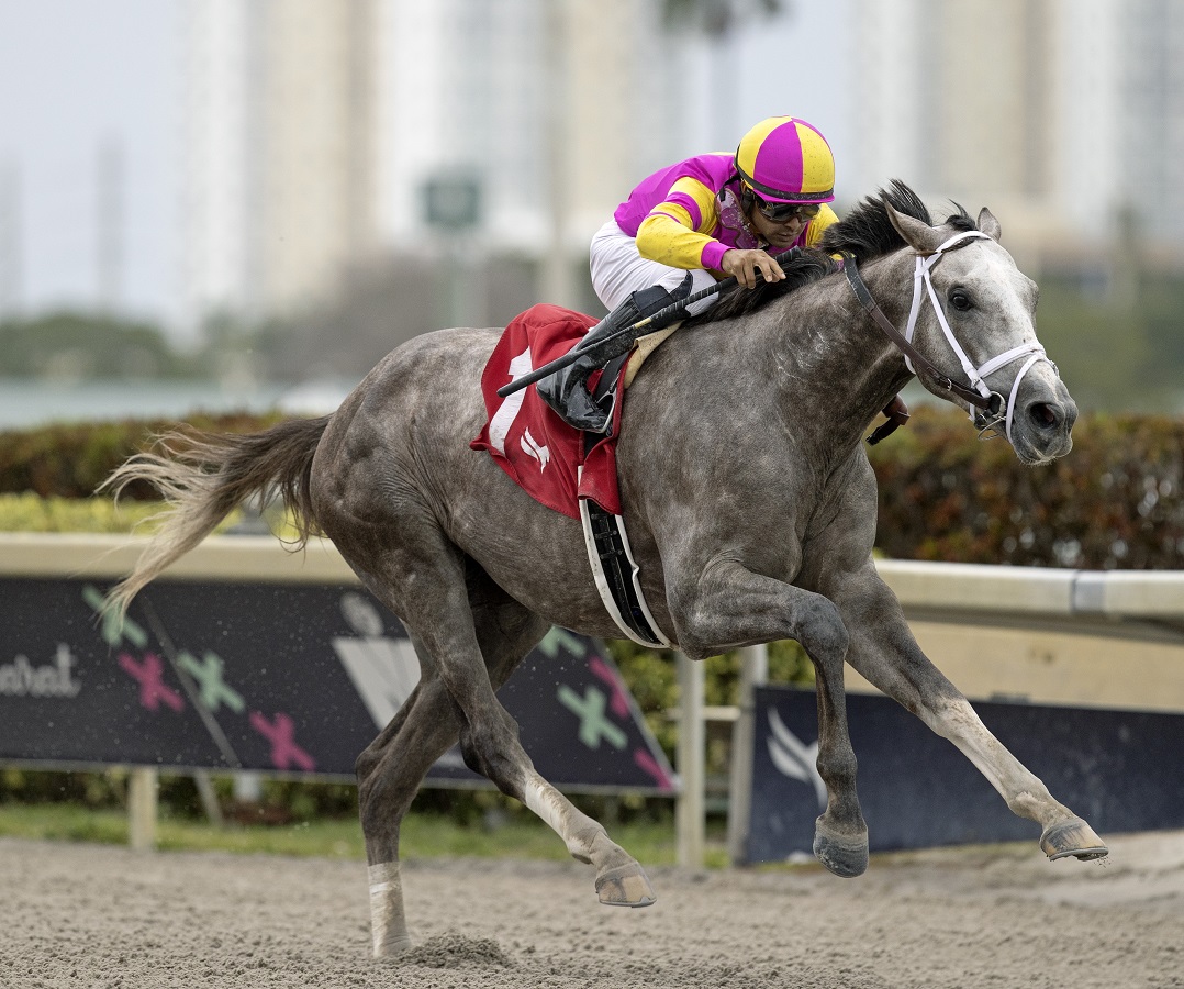 Tapit Trice enfrenta a diez rivales este sábado en el Blue Grass Stakes ...