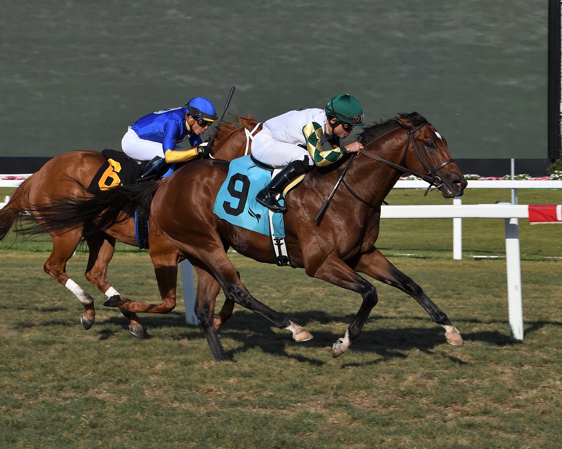 Big Invasion pasó al final para ganar el Silks Run Stakes | DRF en Español