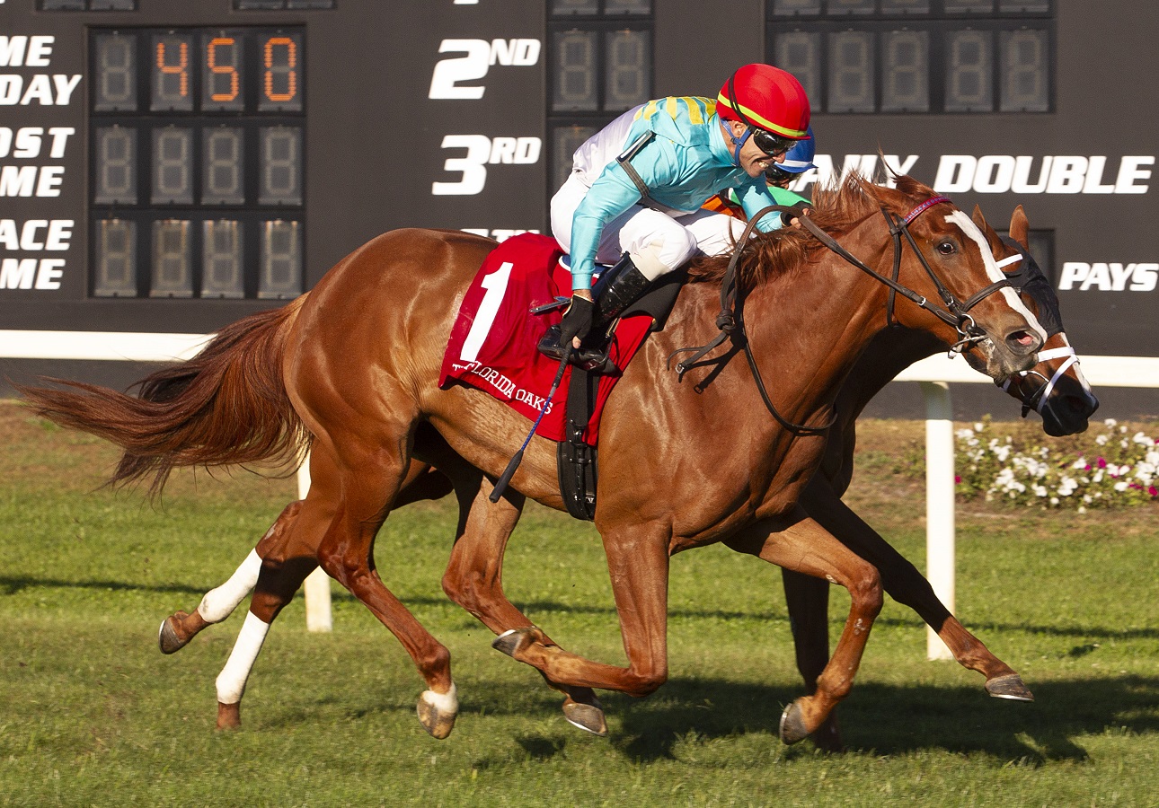 Mission of Joy fue la sorpresa de las Florida Oaks G3 | DRF en Español