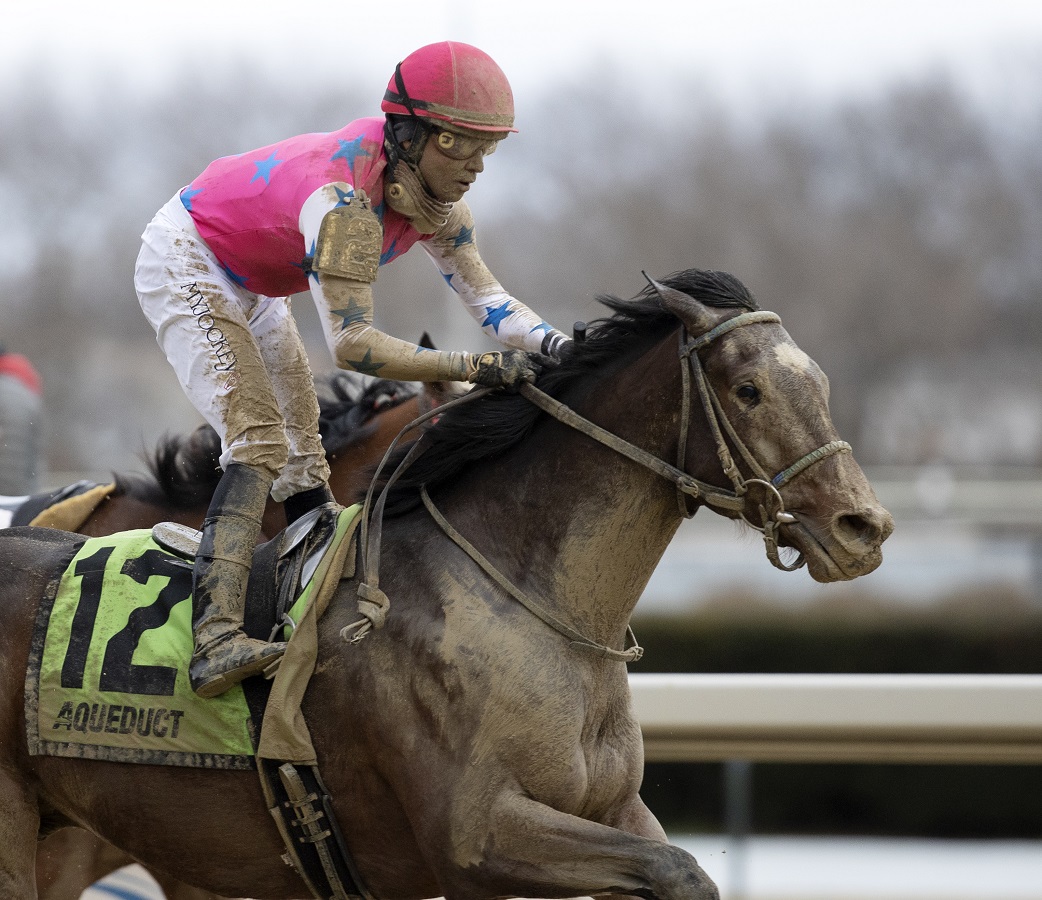 Raise Cain estremeció la taquilla al ganar el Gotham Stakes G3 | DRF en ...