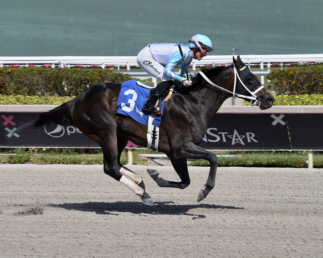 Super Chow ganó trotando el Hutcheson Stakes | DRF en Español