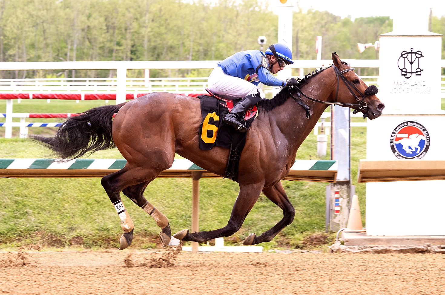 Jevian Toledo se robó el show en Laurel Park | DRF en Español