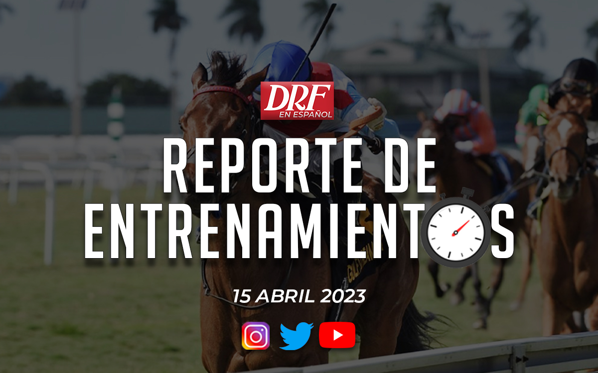 Reporte de Entrenamientos - Abril 14 y 15 | DRF en Español