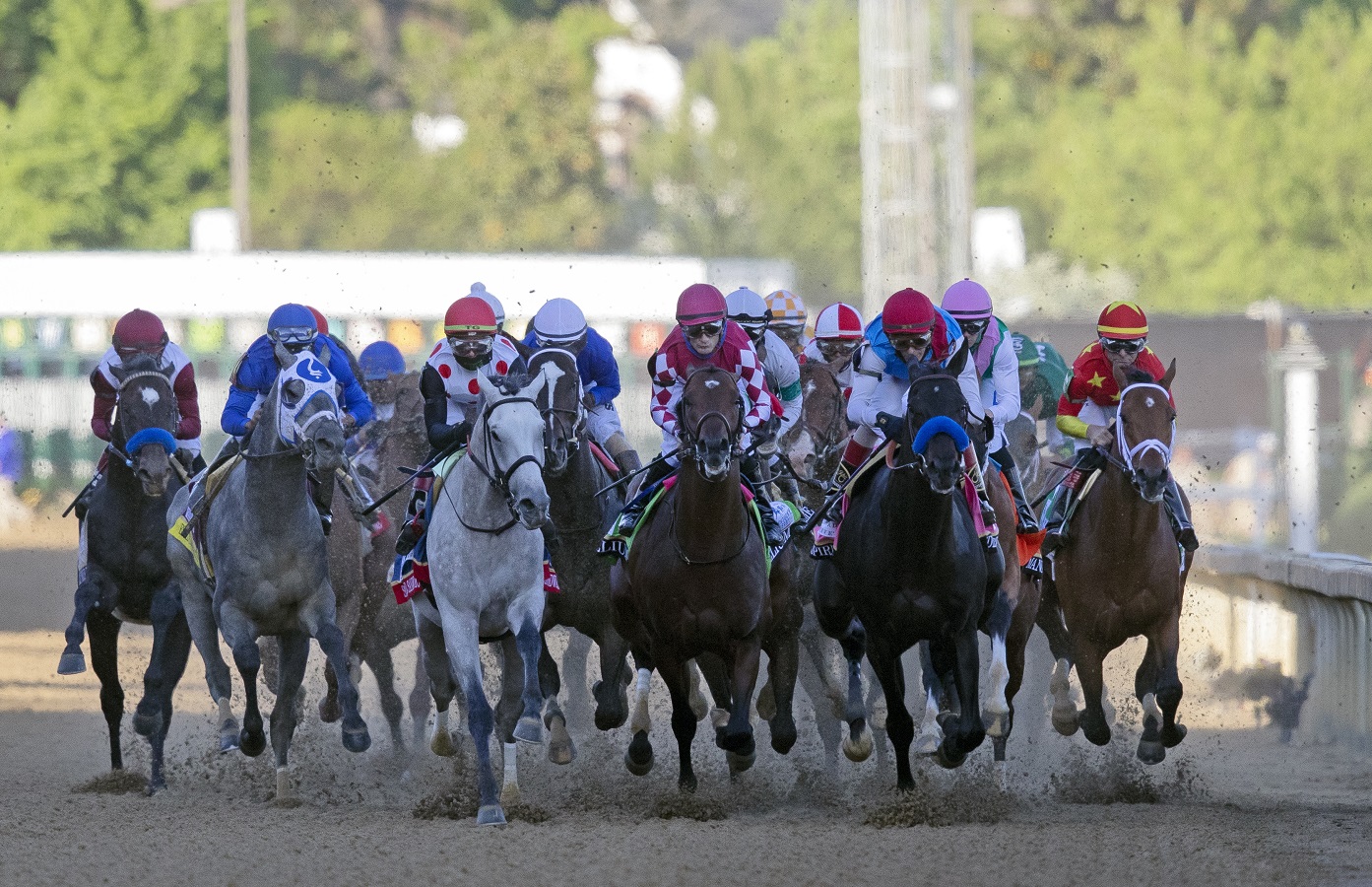 Hechos y hazañas del Kentucky Derby | DRF en Español
