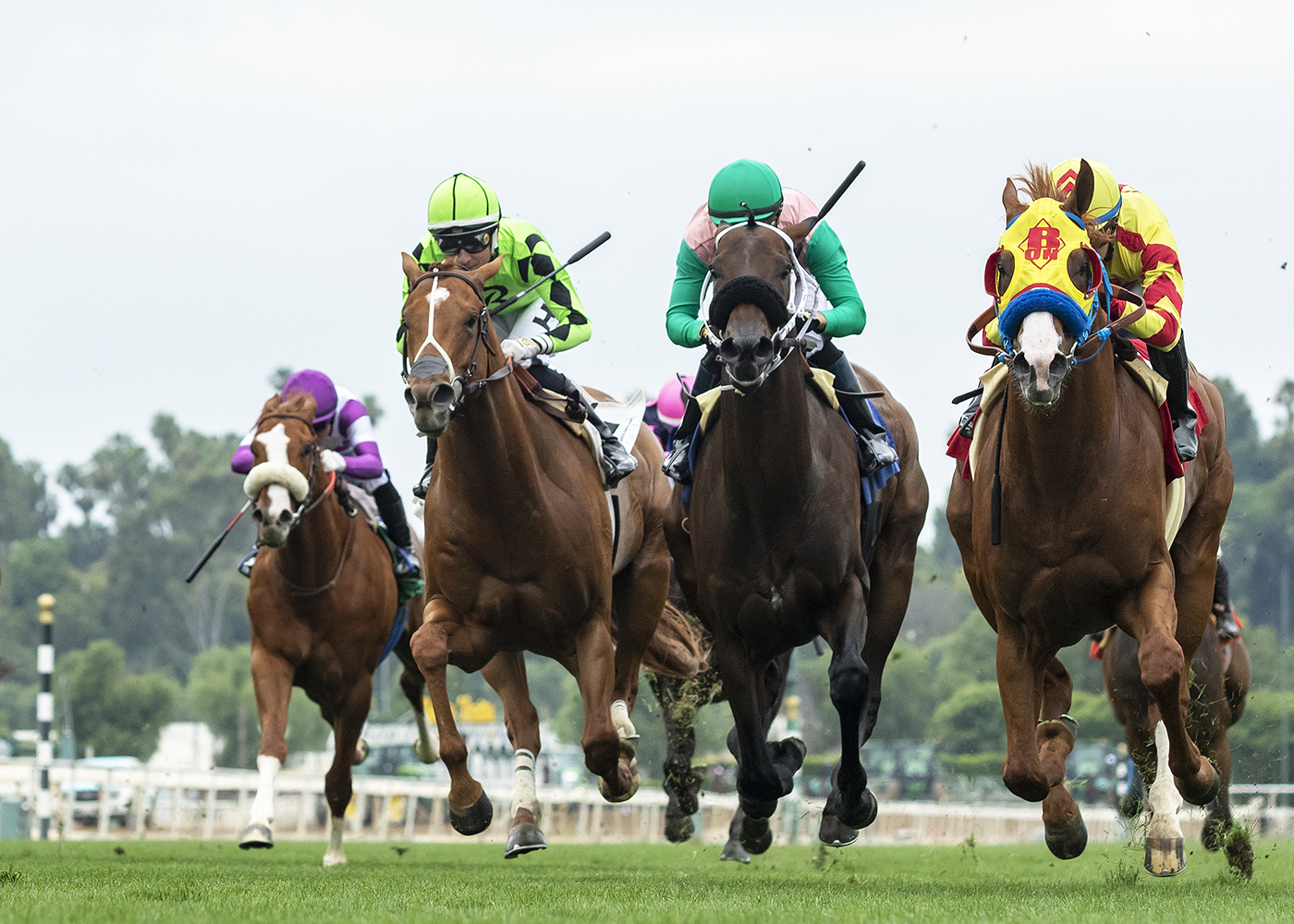 Old Pal en furioso remate se llevó el Snow Chief Stakes | DRF en Español