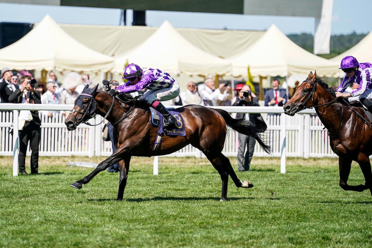 Shaquille en gran demostración se llevó la Commonwealth Cup G1T | DRF ...