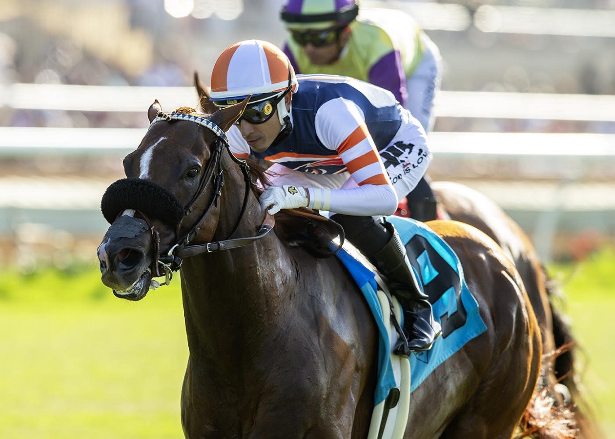 Conclude y Classical Cat, exacta de D’Amato en el Oceanside | DRF en ...