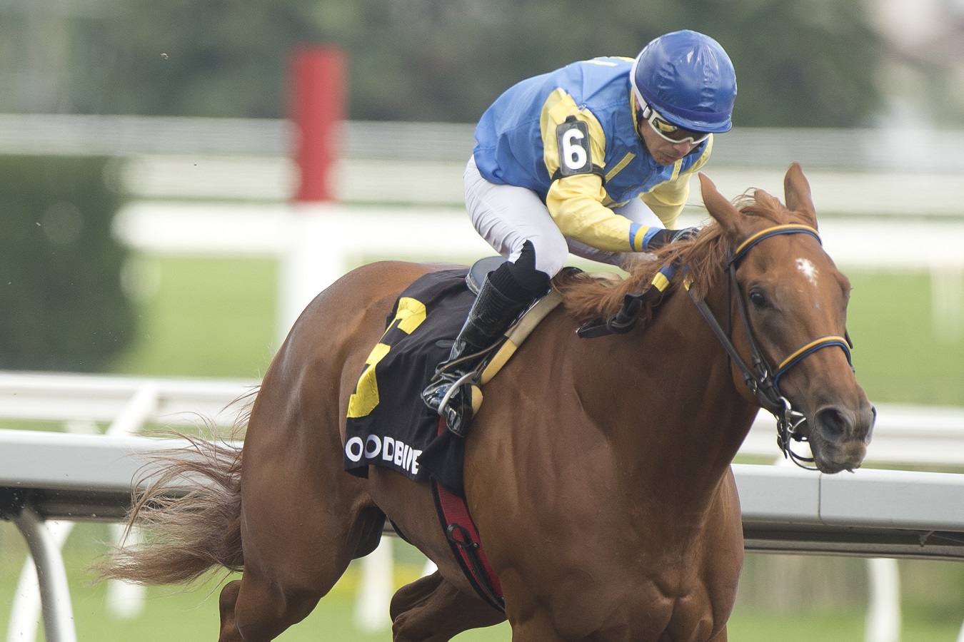 Foolish Games fue la mejor del Thunder Bay Stakes | DRF en Español