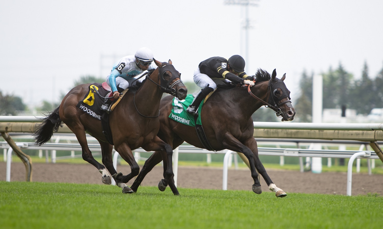 Lucky Score fue el tanto de la suerte para Mark Casse en el Highlander ...