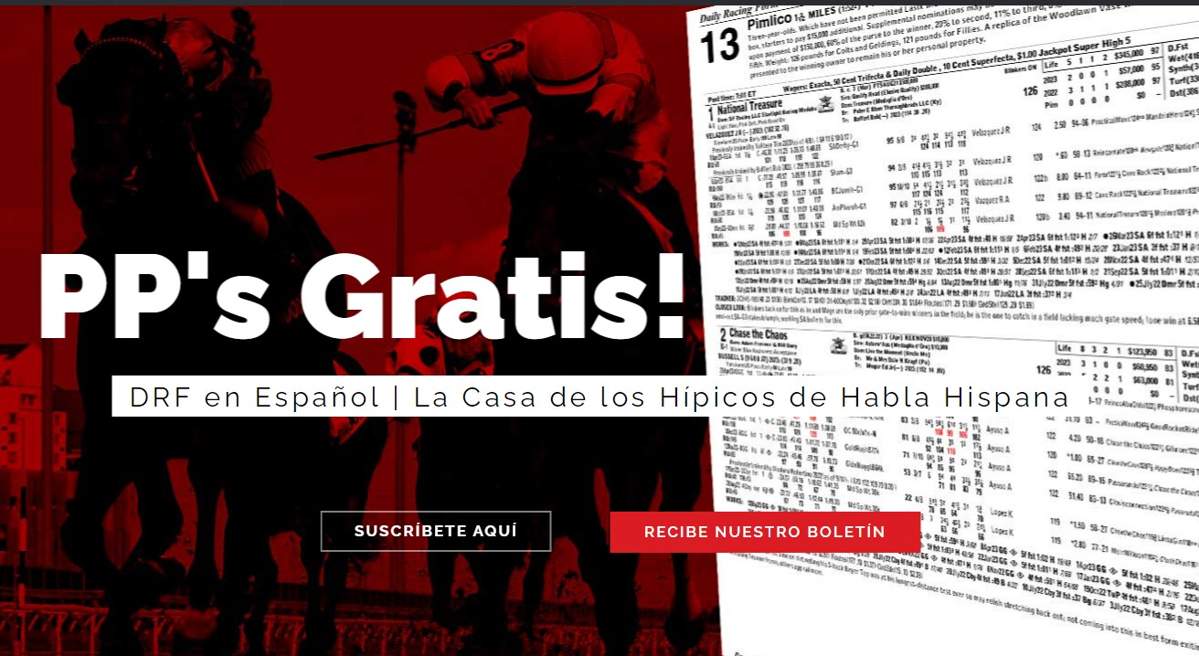 Programas de Carreras "PP's" Gratis | DRF en Español