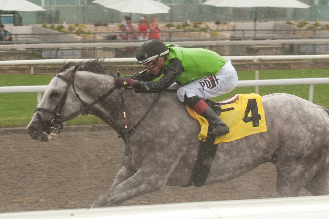 Sigue el emocionante calendario selectivo en Woodbine | DRF en Español