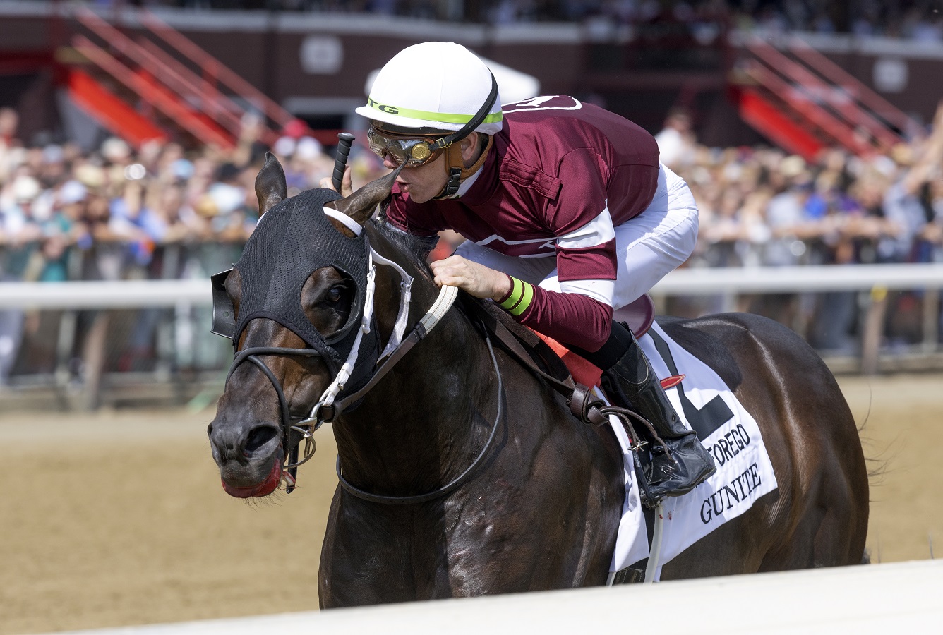 Gunite tomó revancha de Elite Power en el Forego G1 | DRF en Español