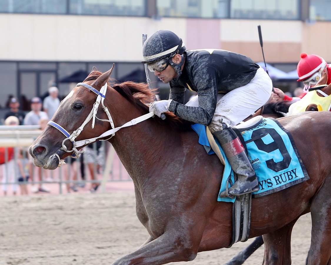 Mia Tosca, Jody’s Ruby y Neecie Marie triunfaron en Parx Racing | DRF ...