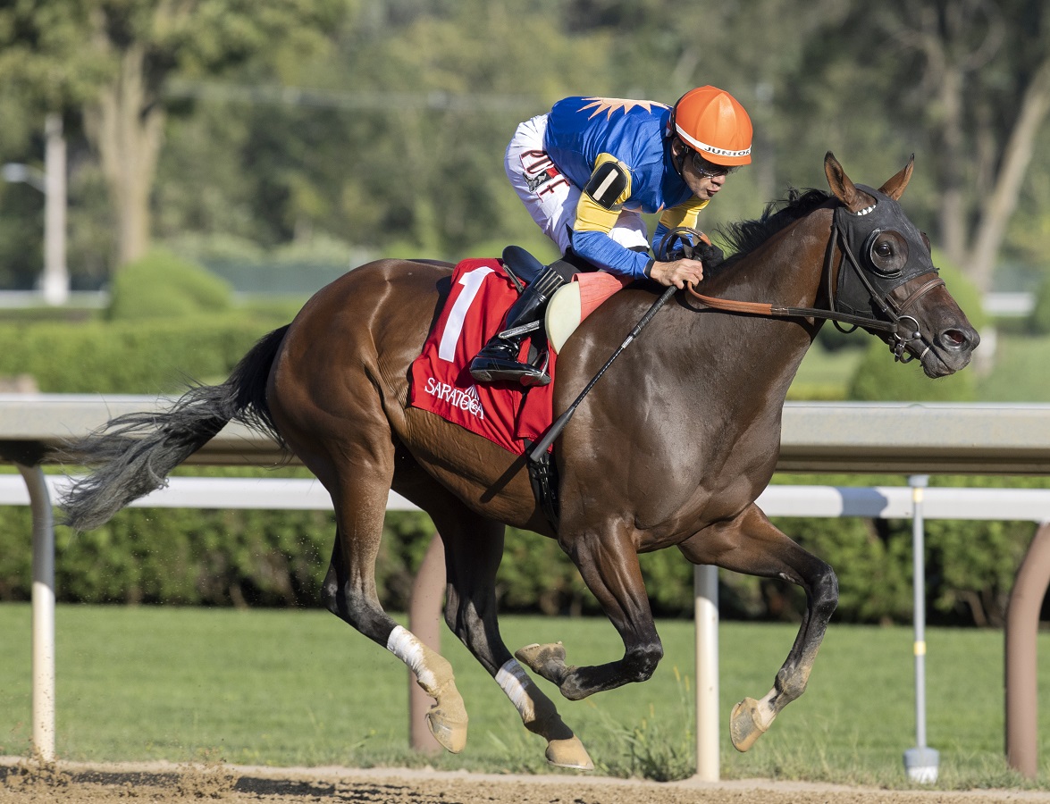 Magic Cross resolvió con facilidad el P.G. Johnson Stakes | DRF en Español