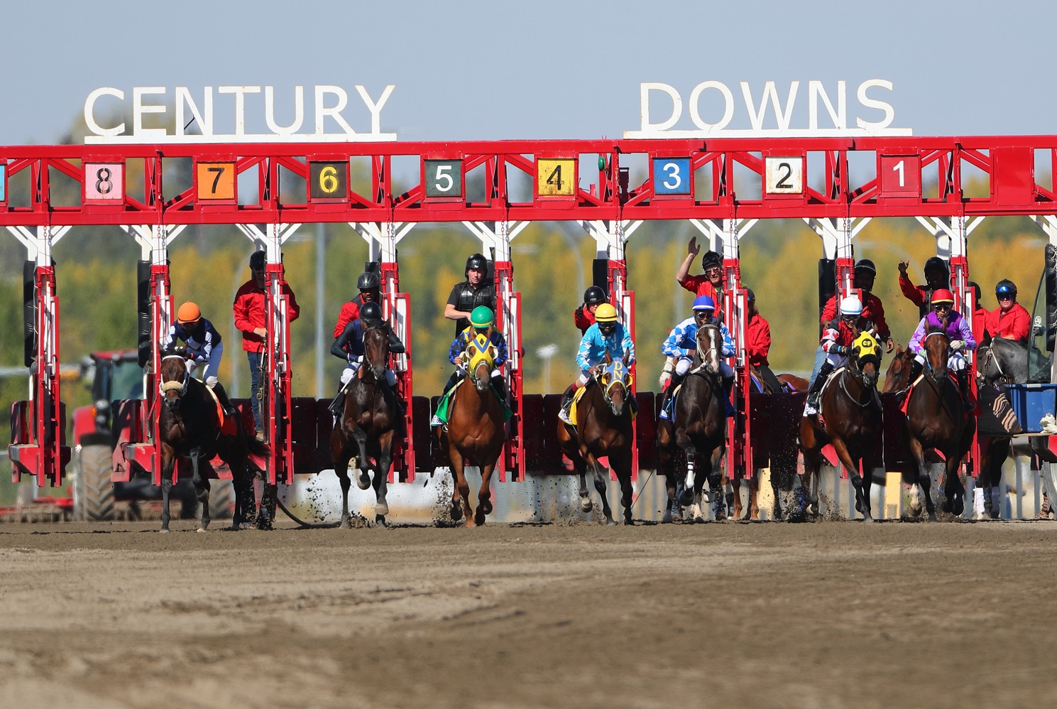 Todo un éxito el Alberta Breeders’ Fall Classic en Century Downs | DRF ...