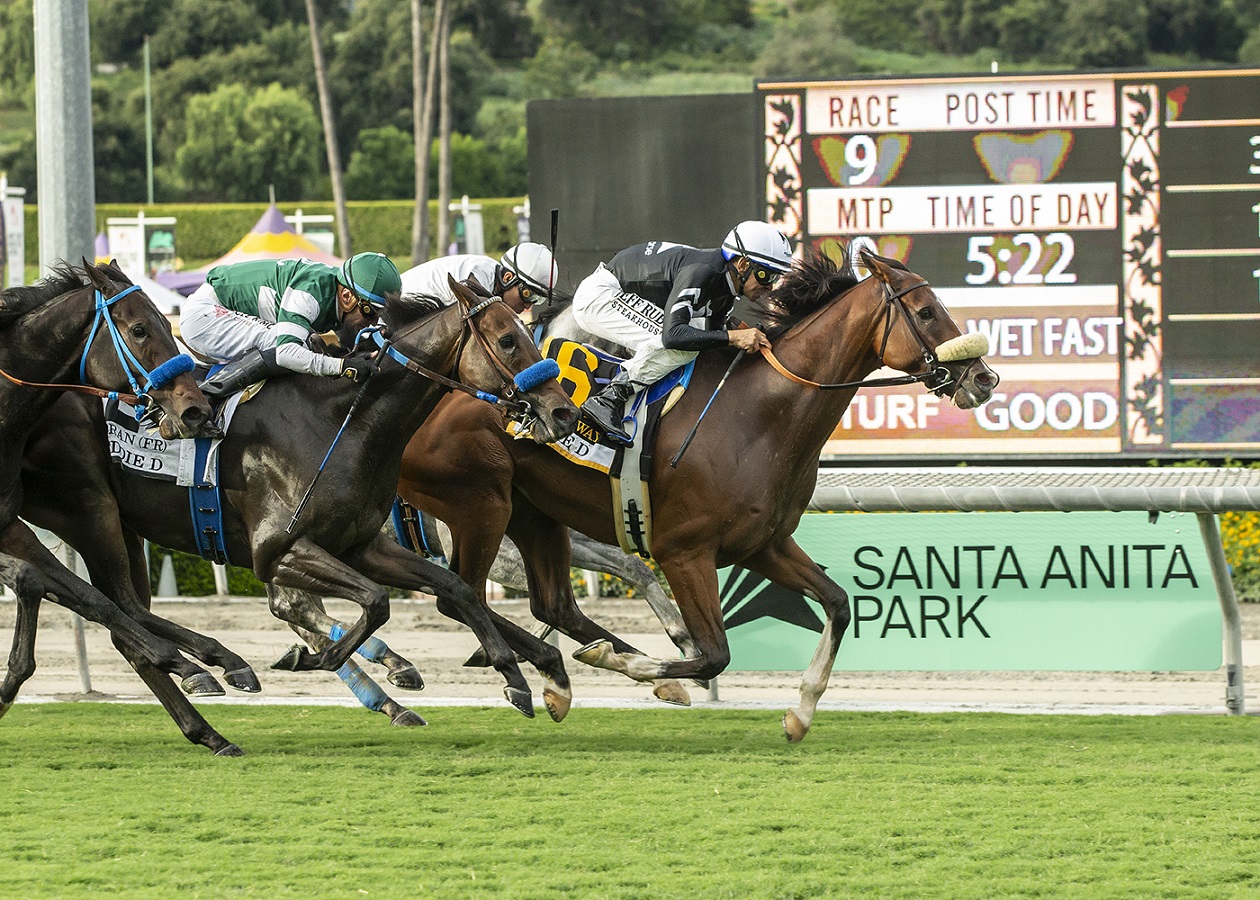 Lane Way sumó su primera victoria de grado en el Eddie D. G2T | DRF en ...