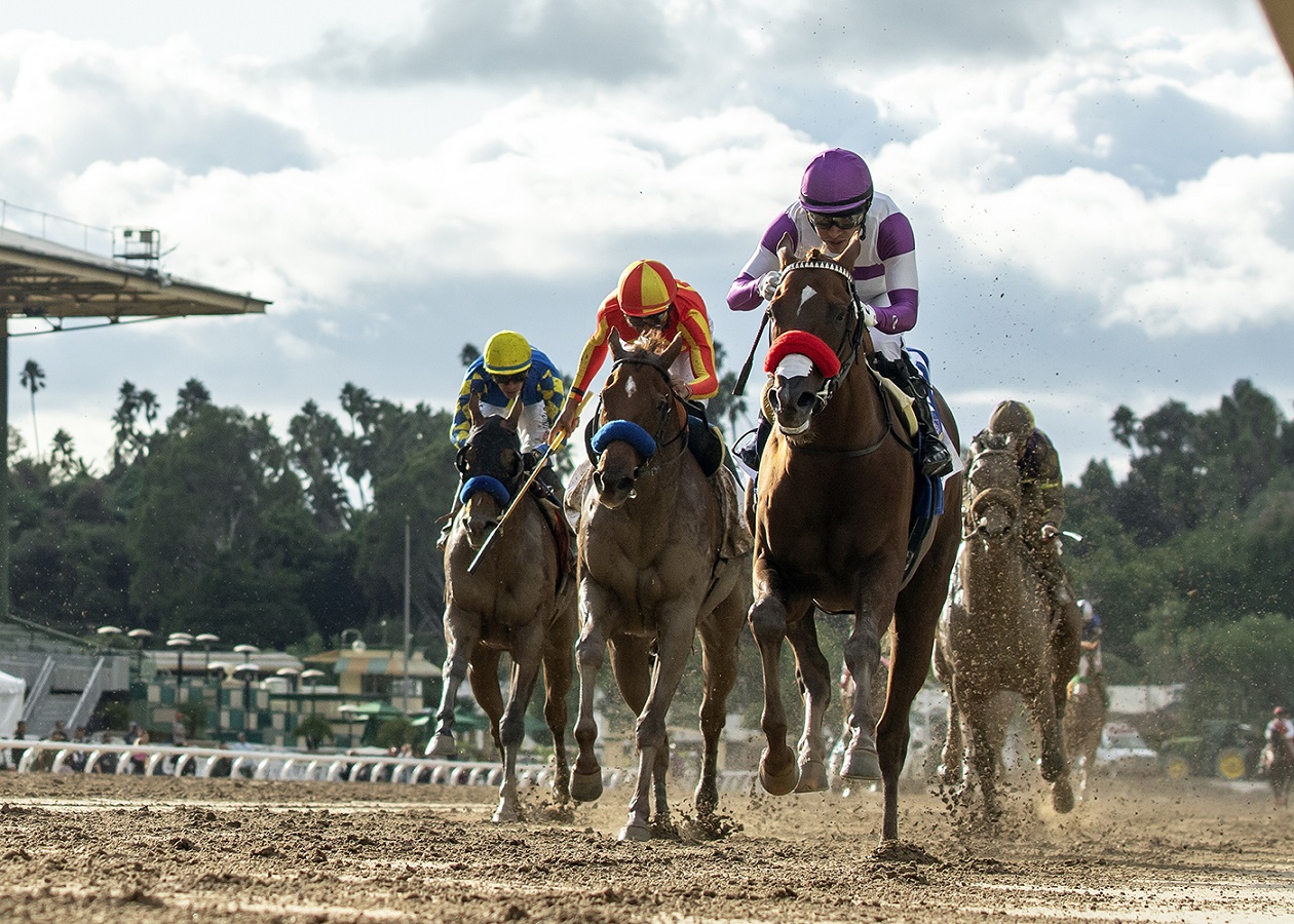 Slow Down Andy unió salida y llegada en el Awesome Again | DRF en Español