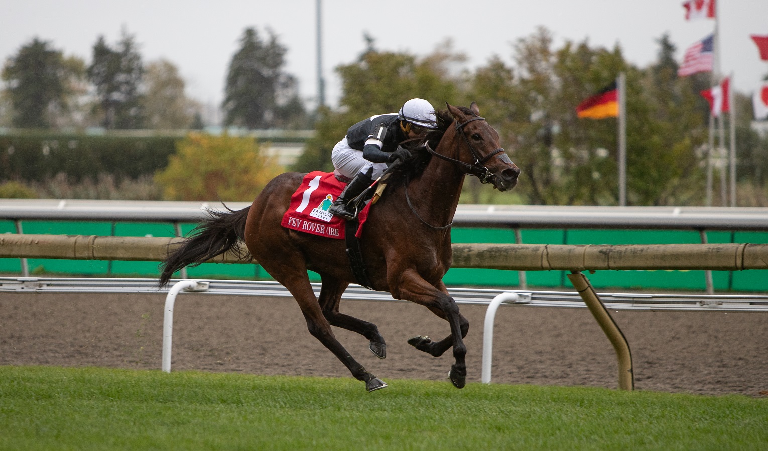 Fev Rover lució superior en el E. P. Taylor G1T | DRF en Español