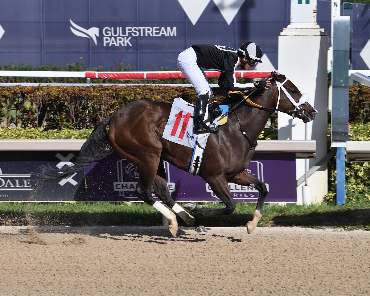 R Harper Rose mantuvo su invicto en el FSS Susan's Girl Stakes | DRF en ...