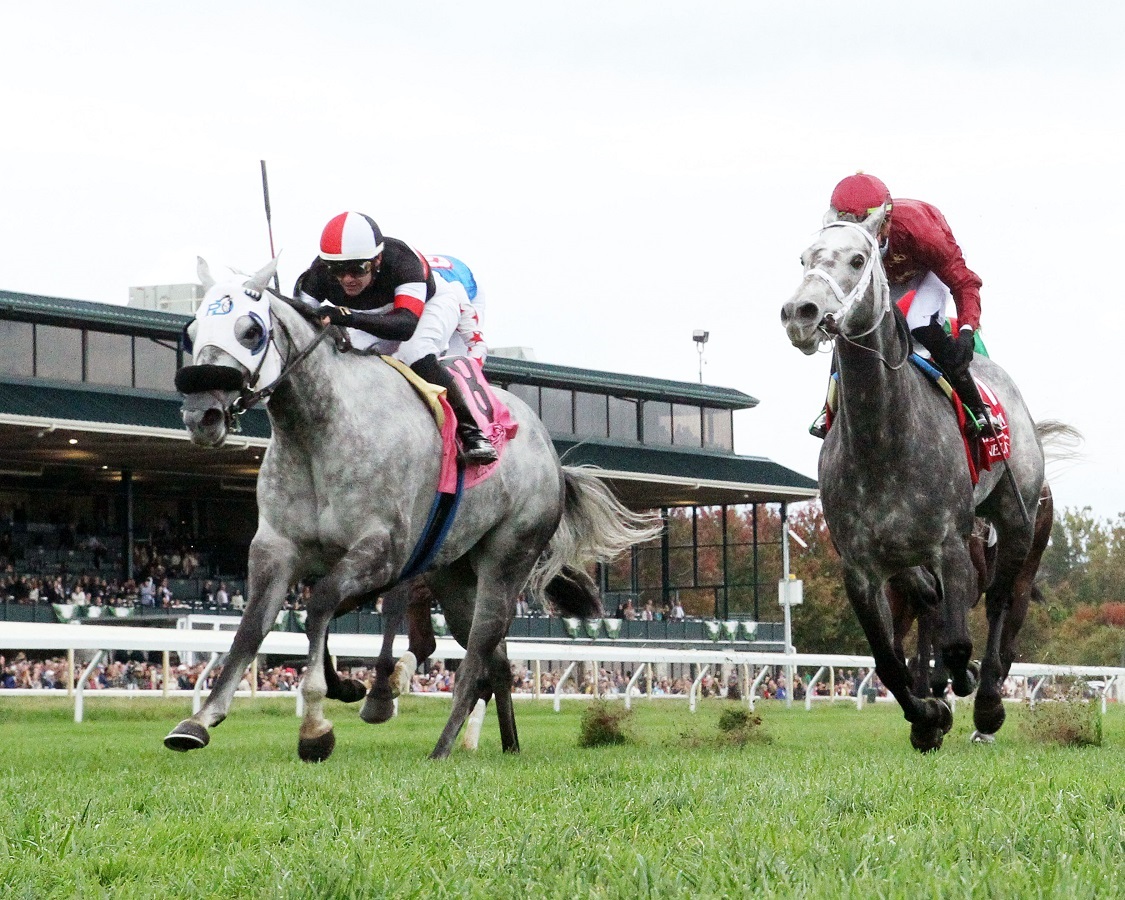 Tony Ann superó a Caravel en el Franklin Stakes G2T | DRF en Español