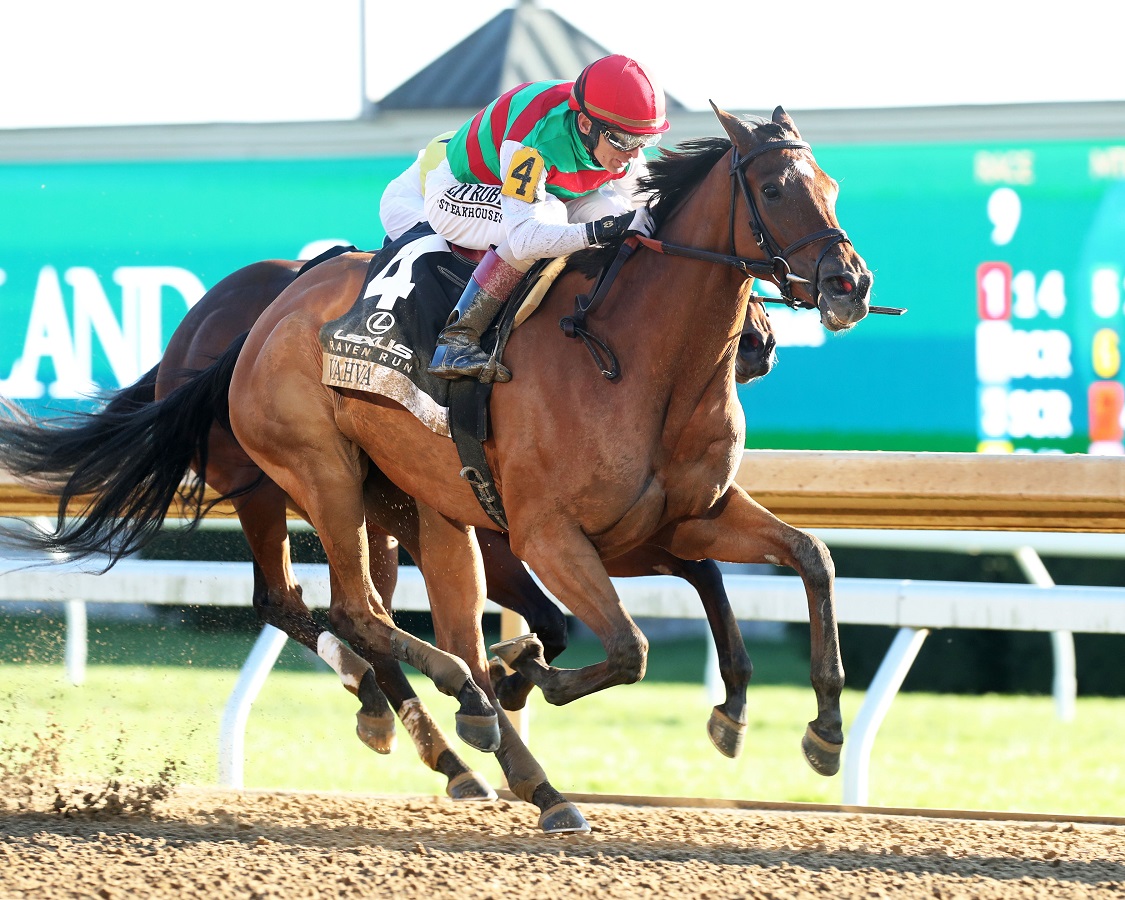 Vahva perseveró y alcanzó el triunfo en el Raven Run Stakes | DRF en ...