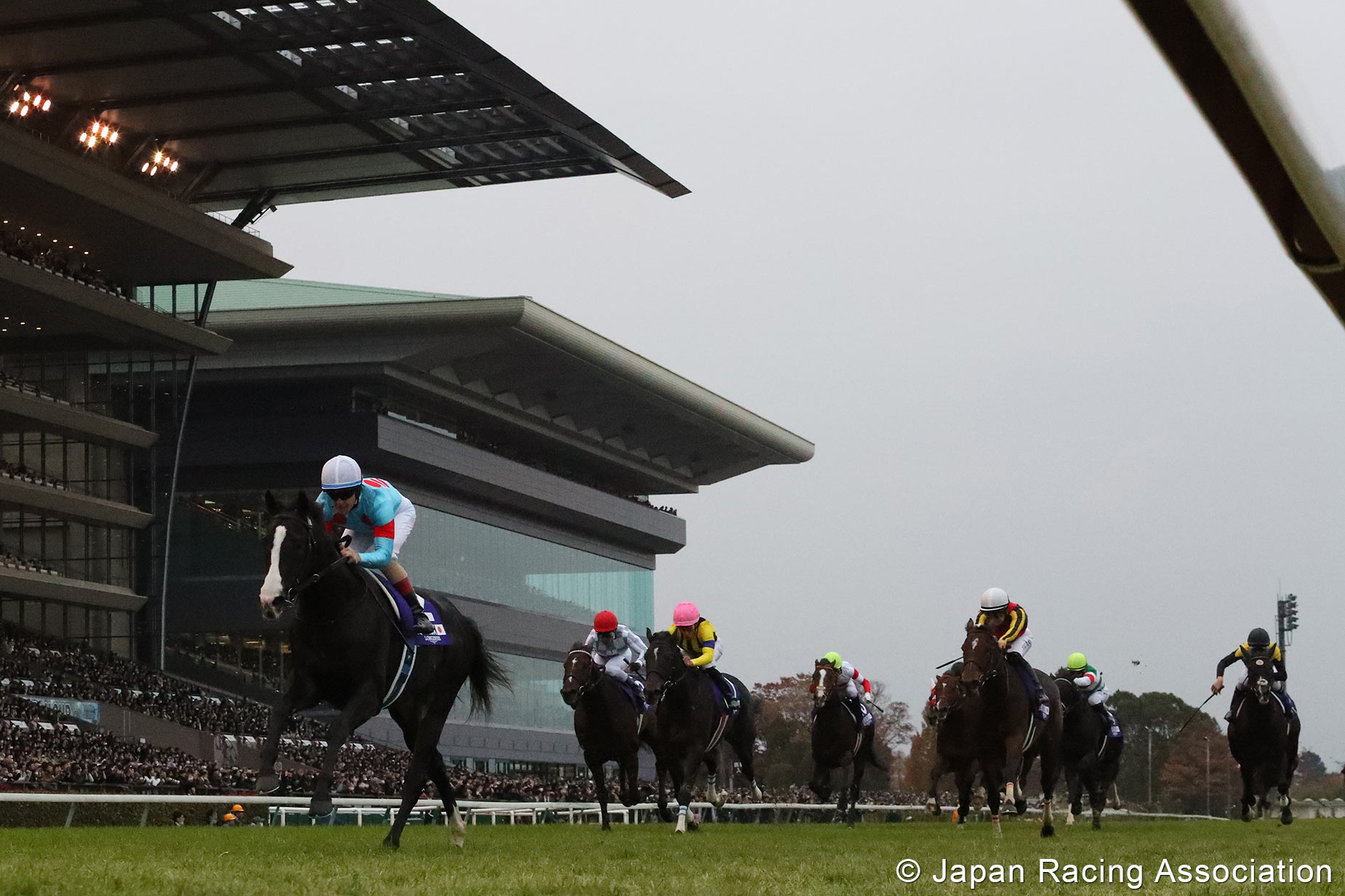 Equinox estuvo majestuoso en la Japan Cup | DRF en Español