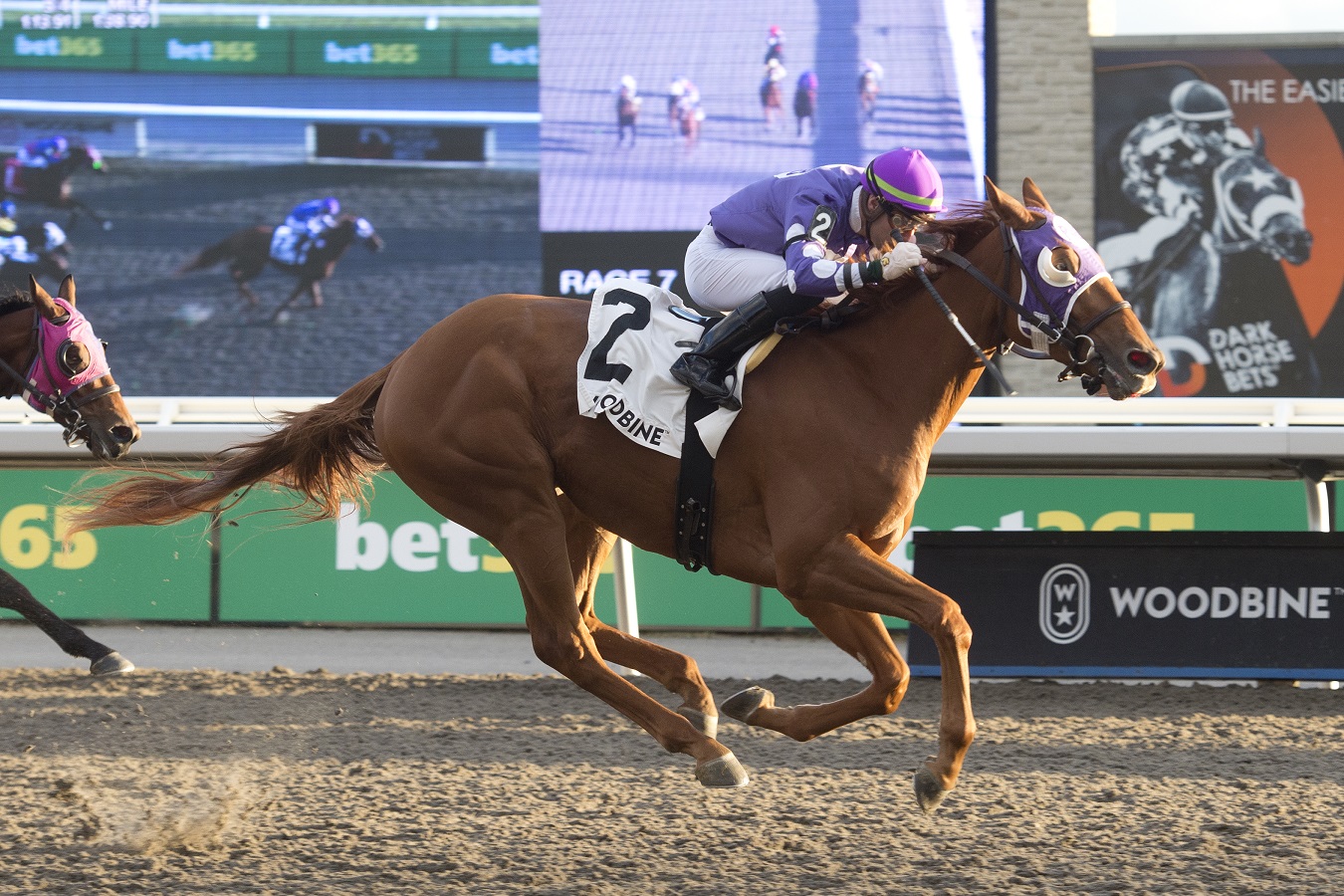 Jim’s Hope y Fashionably Fab triunfadores el viernes en Woodbine | DRF ...