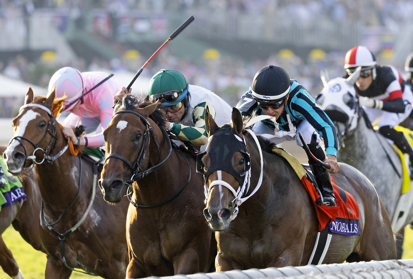Nobals mostró garra en la BC Turf Sprint G1T | DRF en Español