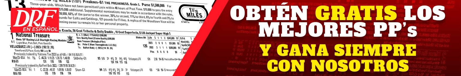 Programas de Carreras "PP's" Gratis | DRF en Español