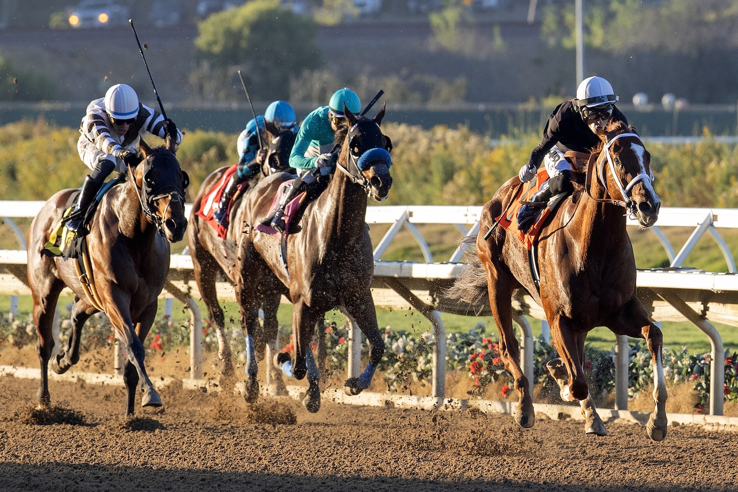 Nothing Like You y The Chosen Vron brillaron en Del Mar | DRF en Español