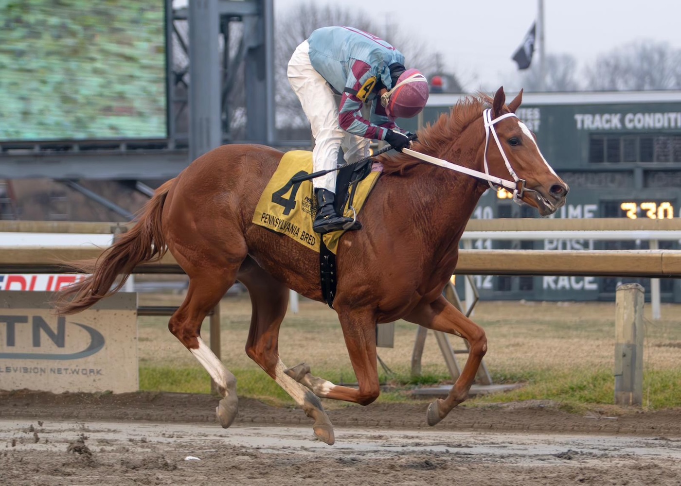 Aoife's Magic con la magia intacta tras ganar el Miss Behaviour | DRF ...