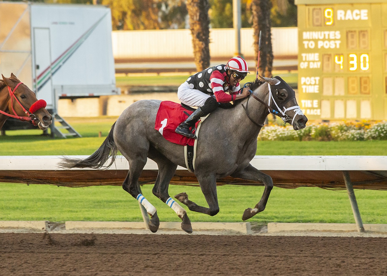 Madison Rae ganó de extremo a extremo el Soviet Problem | DRF en Español