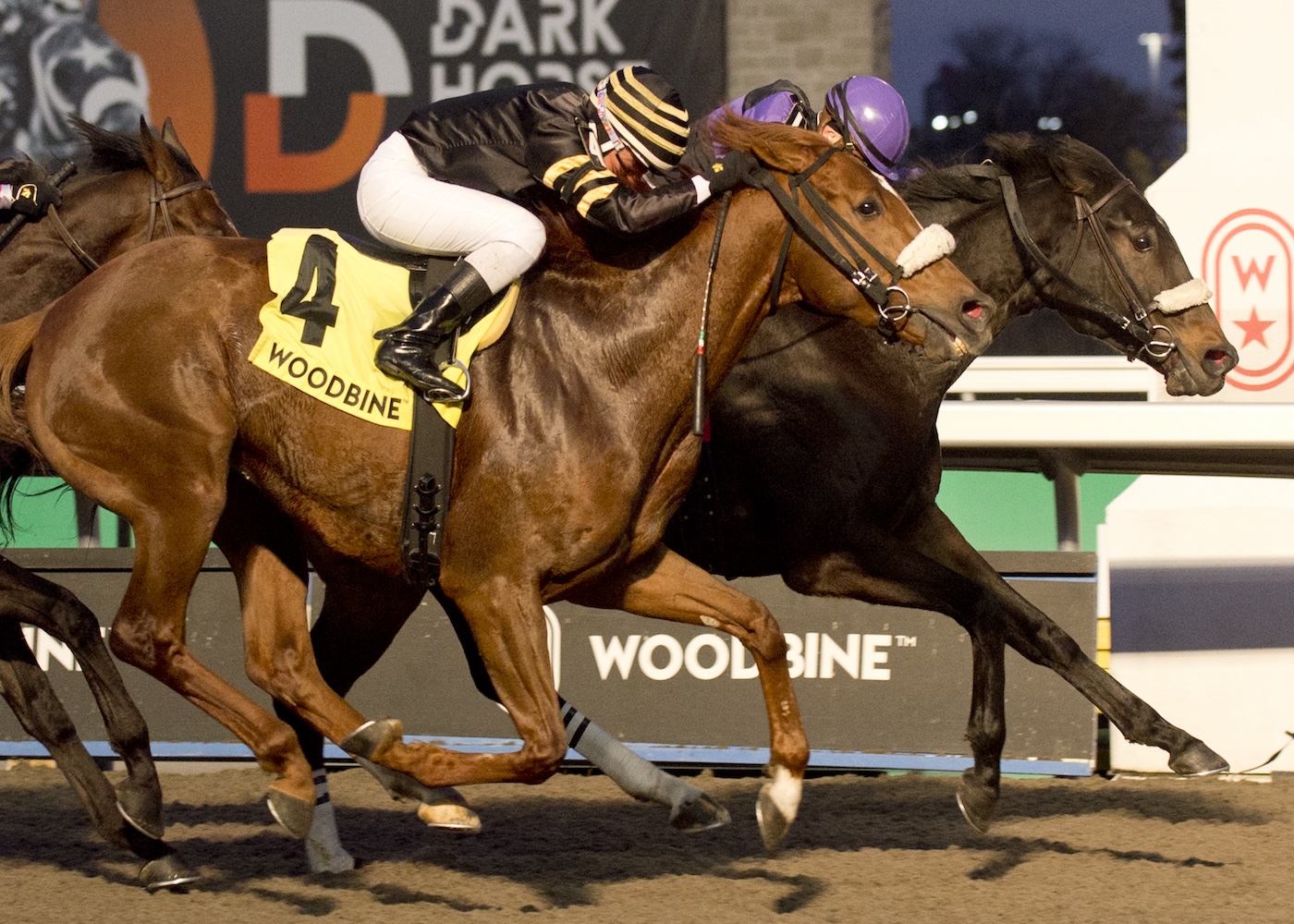 Secret Reserve prevaleció al final en el Steady Growth Stakes | DRF en ...