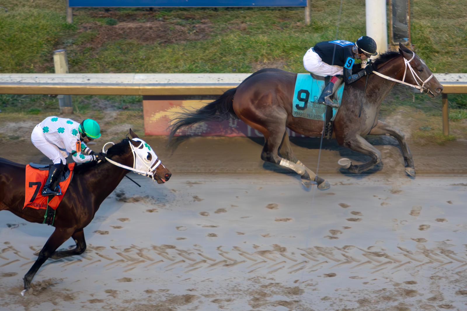 Uncle Heavy respondió al favoritismo en el Wait For It Stakes | DRF en ...