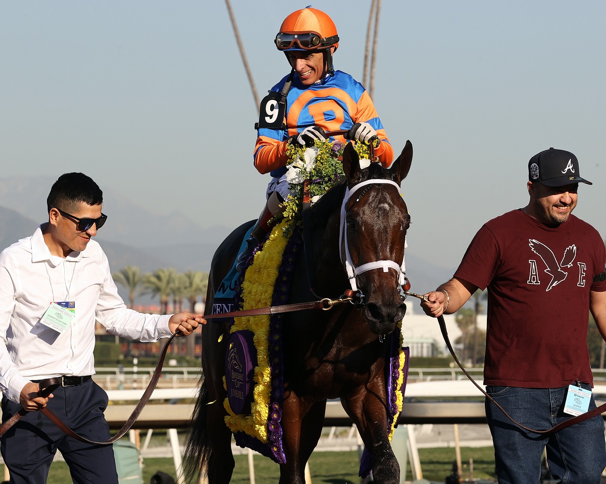 Fierceness regresa ante siete rivales en el Holy Bull | DRF en Español