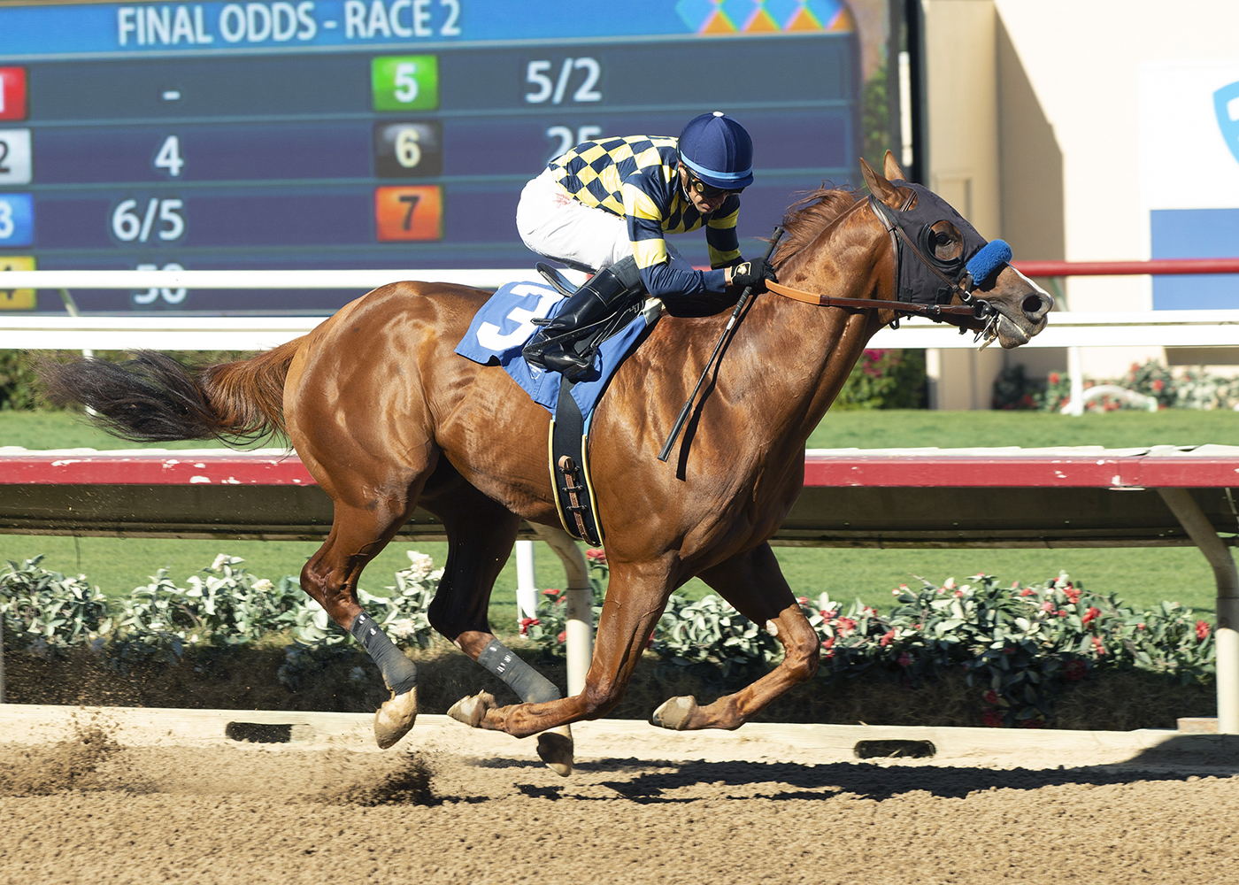 6 potros buscan conquistar el San Vicente Stakes | DRF en Español