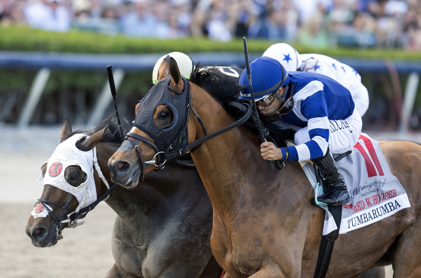Tumbarumba ganó por nariz el Fred W. Hooper G3 | DRF en Español