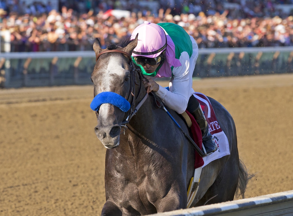 La interesante efectividad de Arrogate como semental | DRF en Español