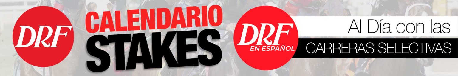 DRF en Español - Home | DRF en Español