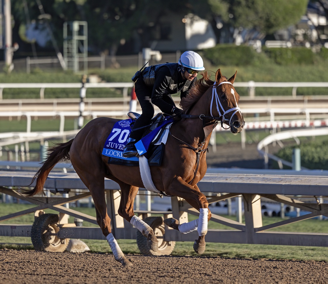 DERBYSCOPIO XIV. Febrero 19, 2024 | DRF en Español